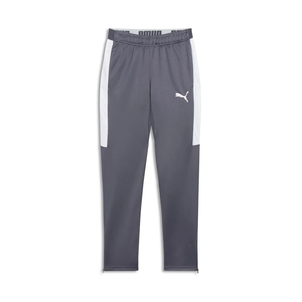 Puma PUMA Men's Speed Pants - Clothing - Free Shipping - BeyondStyle