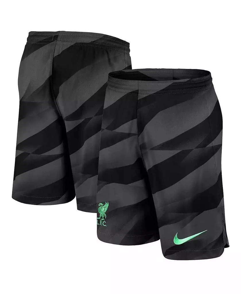 Nike Men's Anthracite Liverpool 2023/24 Stadium Goalkeeper Performance Shorts - Shorts - Free ...