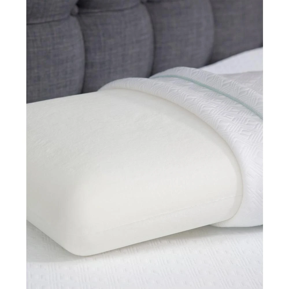 IntelliSLEEP Natural Comfort Traditional Memory Foam Pillow, Queen, Created For Macy's - Free ...