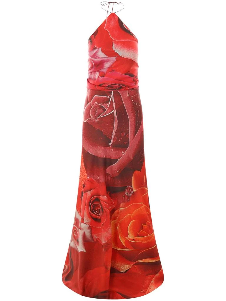 Roberto Cavalli Garden Rose-print Maxi Dress - Dresses & Skirts ...