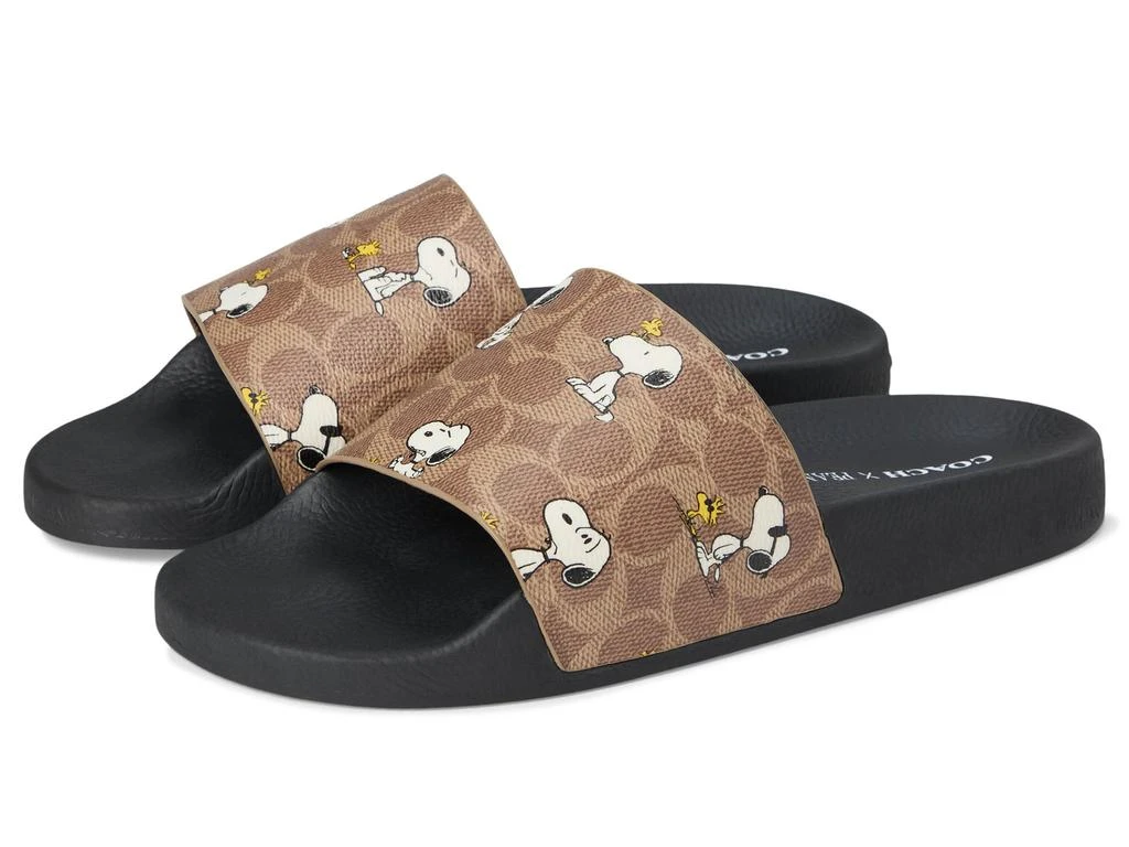 Coach Coach X Peanuts Pool Slide in Signature Canvas with Snoopy Print ...