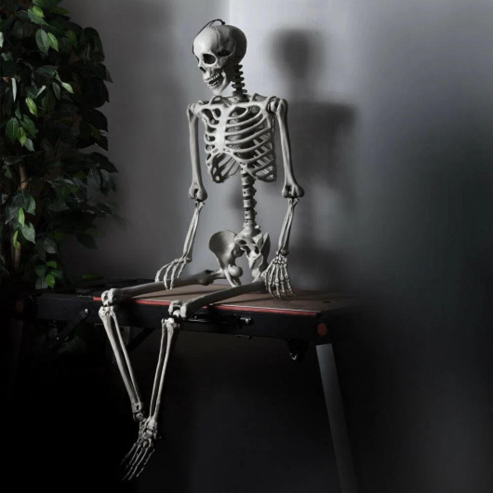 Hivvago 5.4 Feet Halloween Skeleton Life Size Realistic Full Body ...