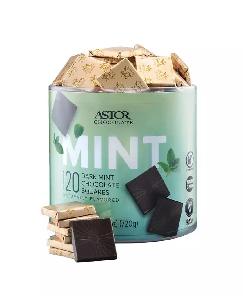 Astor Chocolate Petite Dark Mint Chocolate Squares Tub, 120 Pieces ...